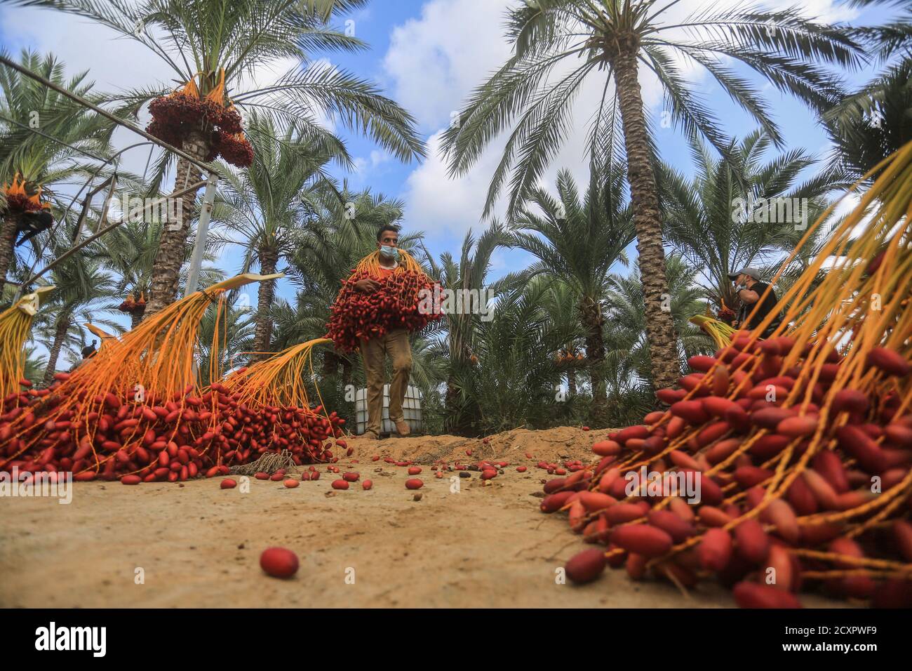 October 1, 2020, Deir Al-Balah, The Gaza Strip, Palestine: A ...