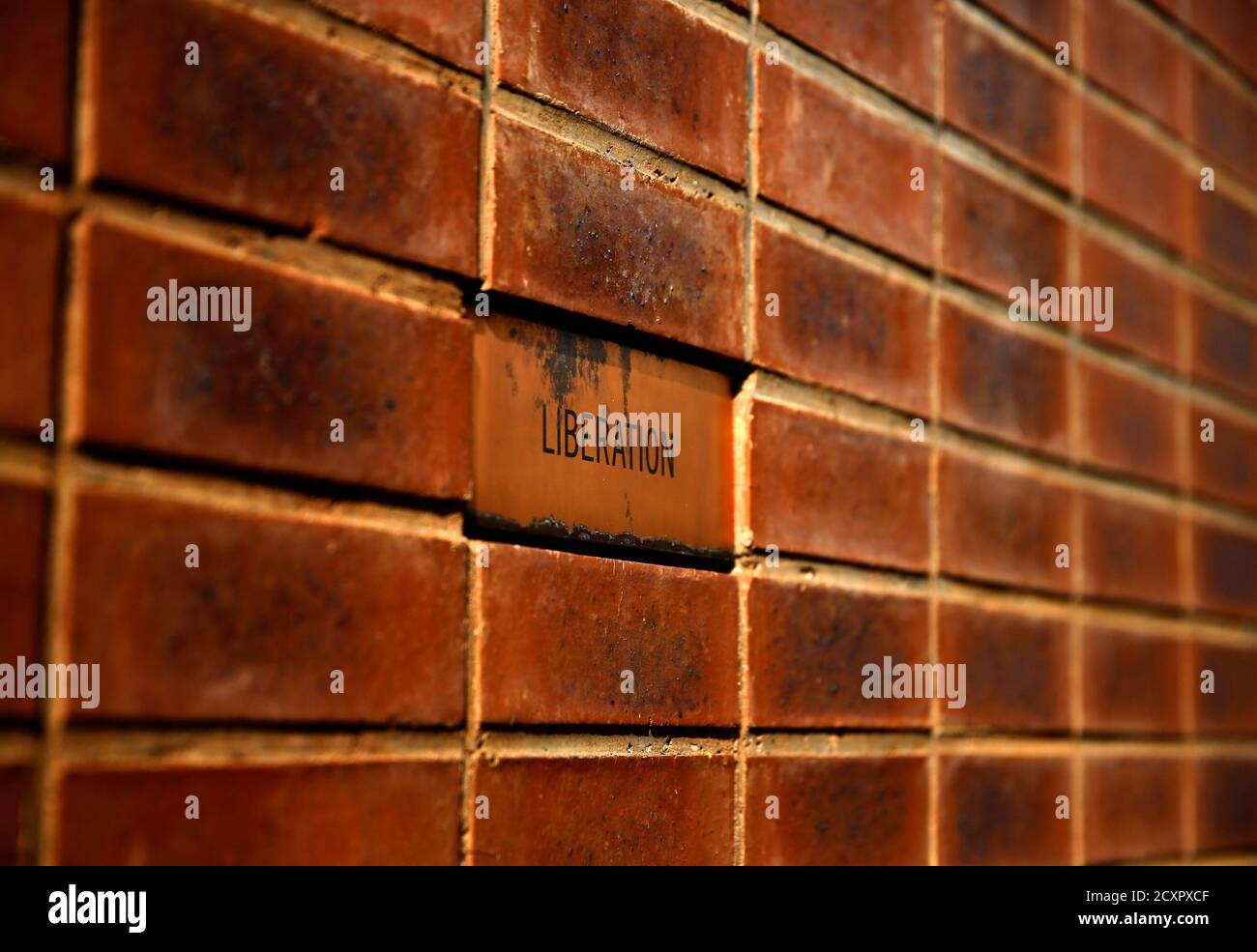 South African Hero High Resolution Stock Photography and Images - Alamy