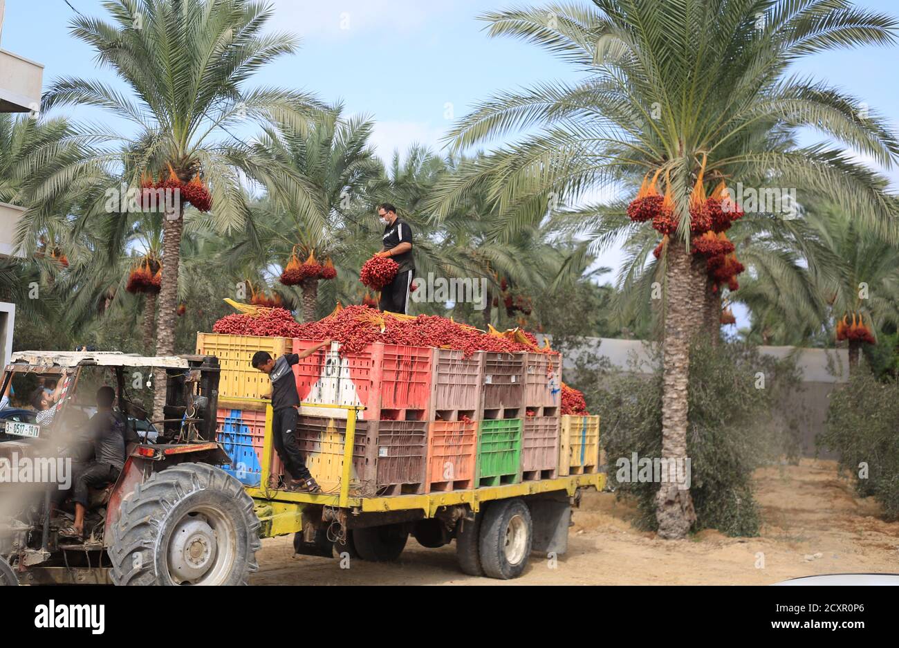 Deir Al-Balah, The Gaza Strip, Palestine. 1st Oct, 2020. A Palestinian ...
