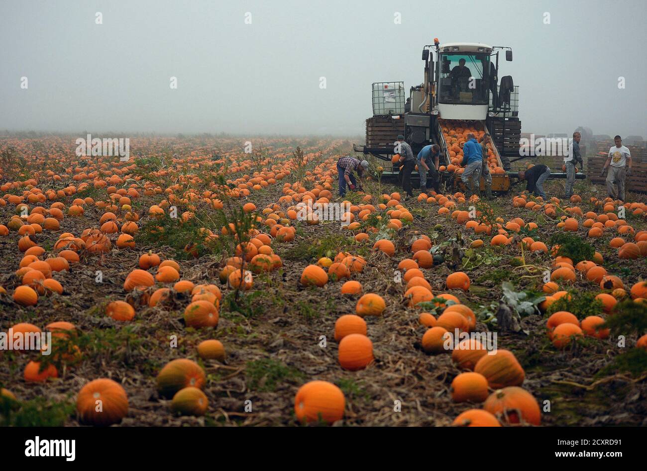 25 Acre Farm High Resolution Stock Photography and Images - Alamy