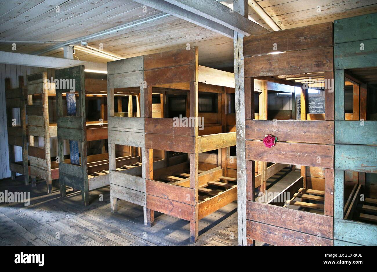 Concentration Camp Bunks