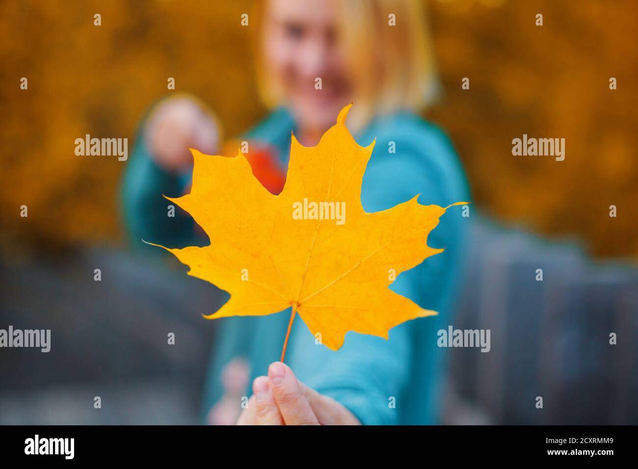 Hand holding maple leaf hi-res stock photography and images - Alamy