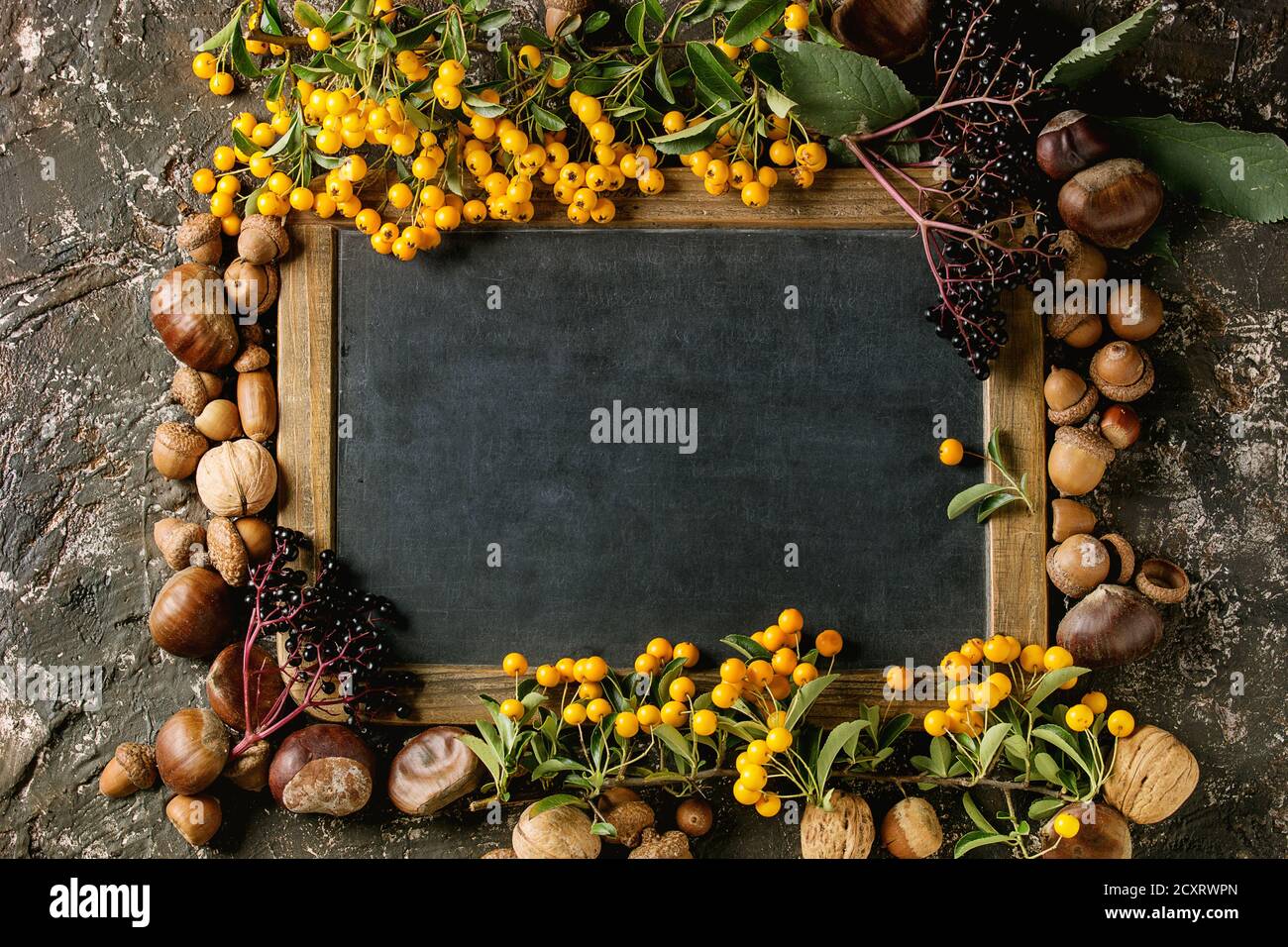 Frame from autumn berries, leaves and nuts with empty vintage ...