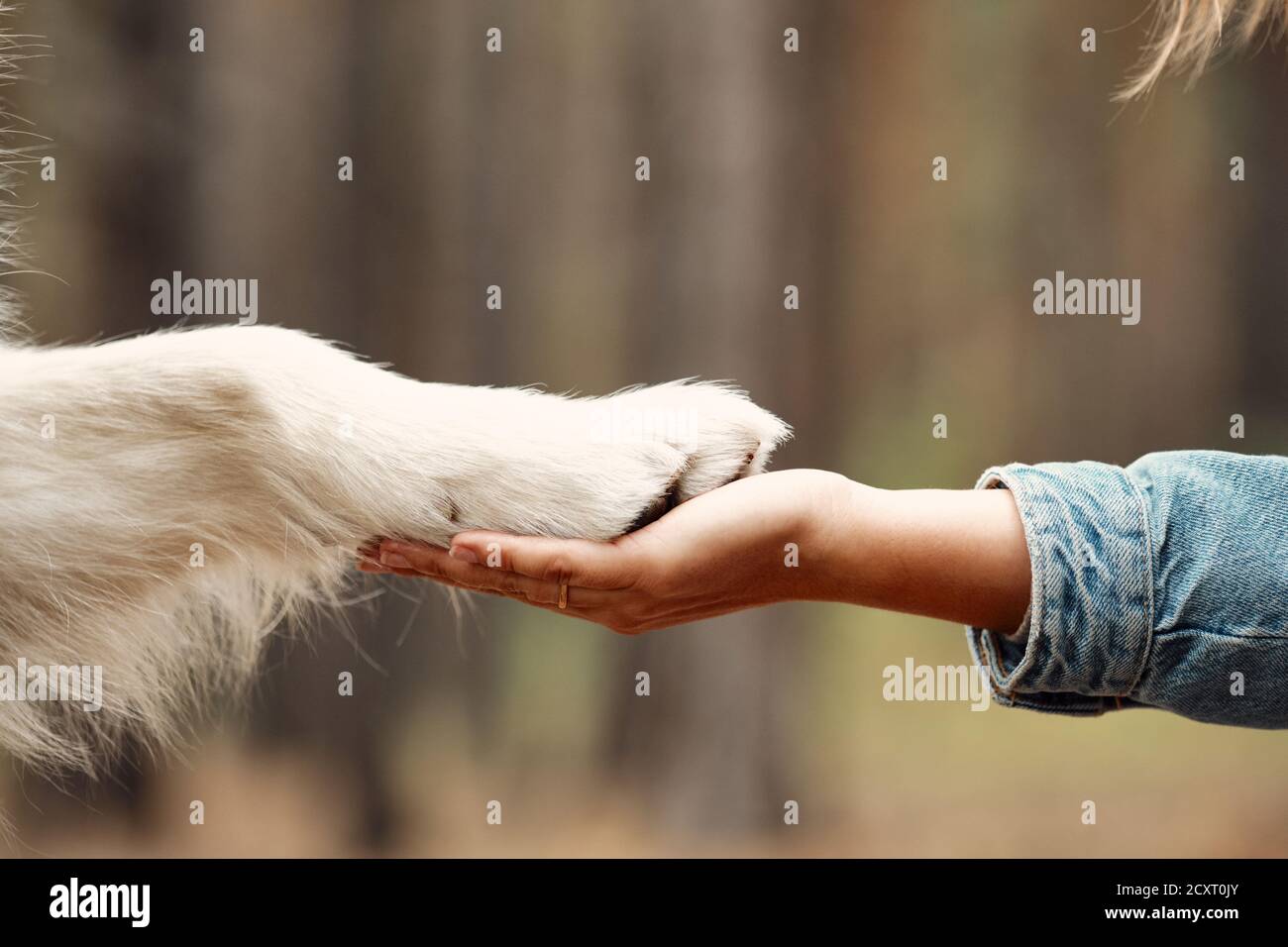 Man giving girl helping hand hi-res stock photography and images - Alamy