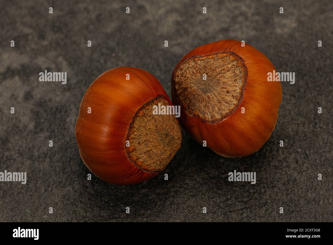 Two ripe tasty Whole hazelnut (hazel Stock Photo - Alamy