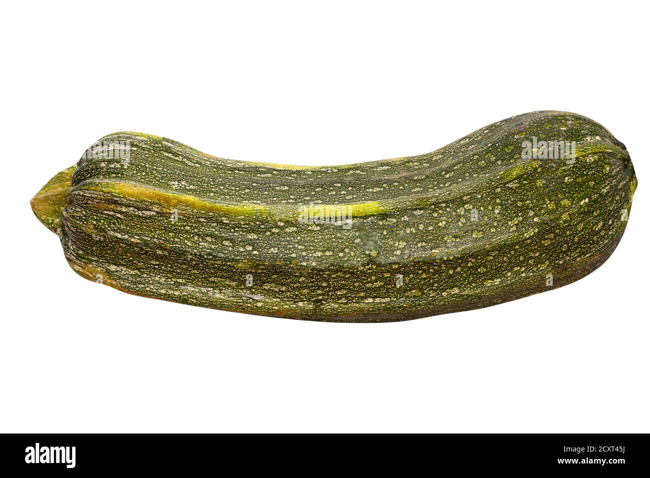 raw green vegetable marrow isolated on white background Stock Photo - Alamy
