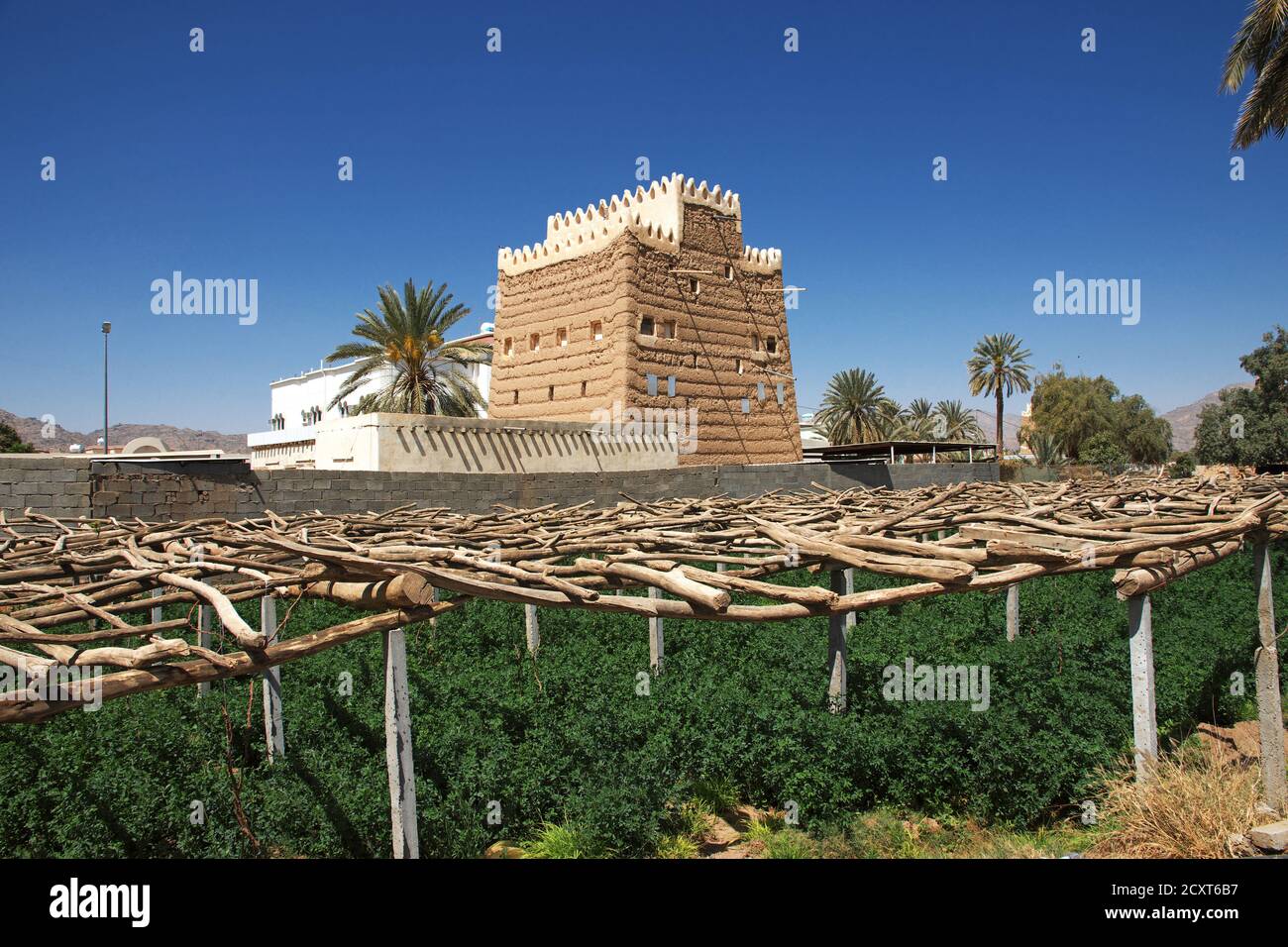 Asir house saudi arabia hi-res stock photography and images - Alamy
