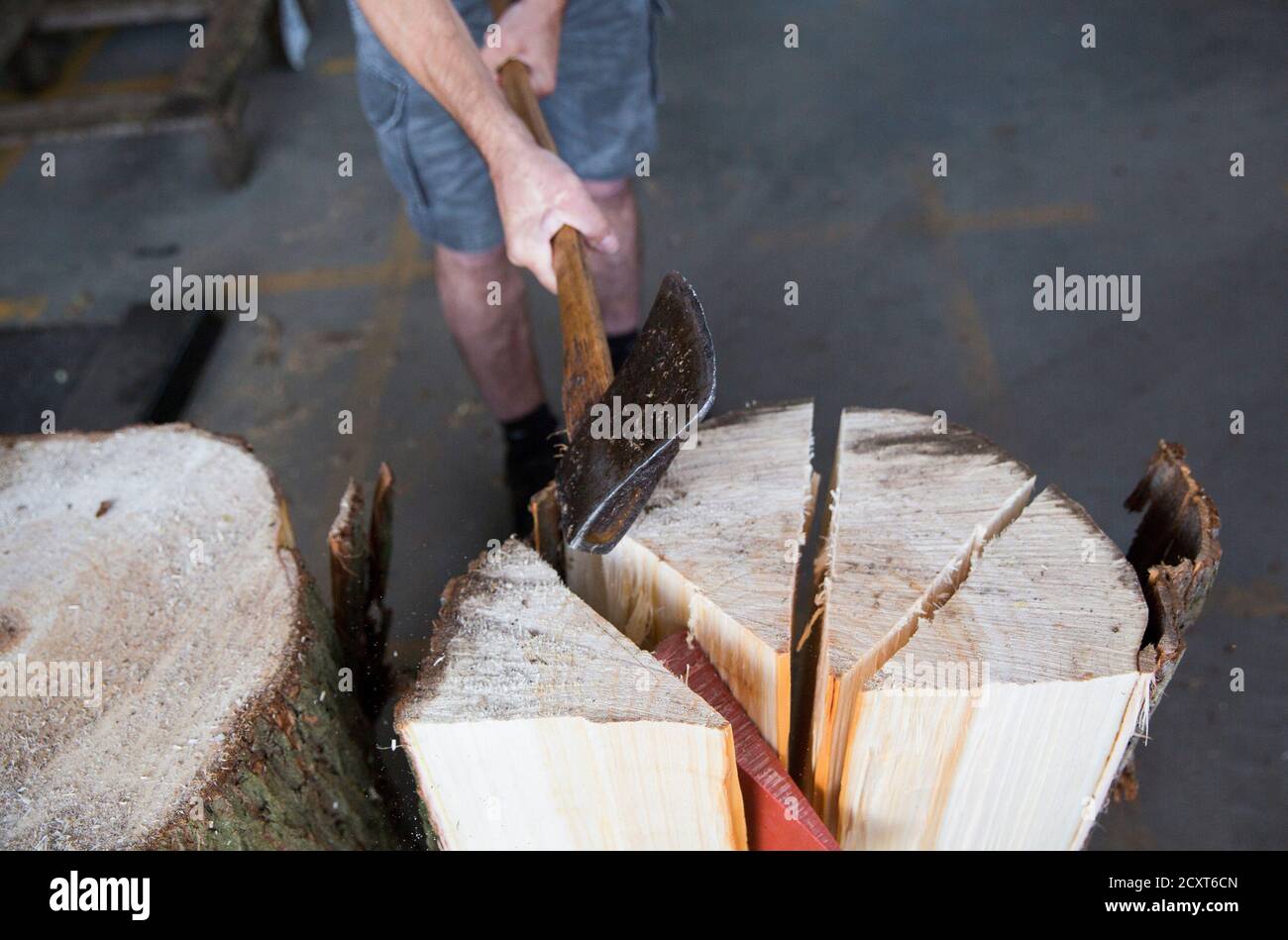 Willow clefts hi-res stock photography and images - Alamy