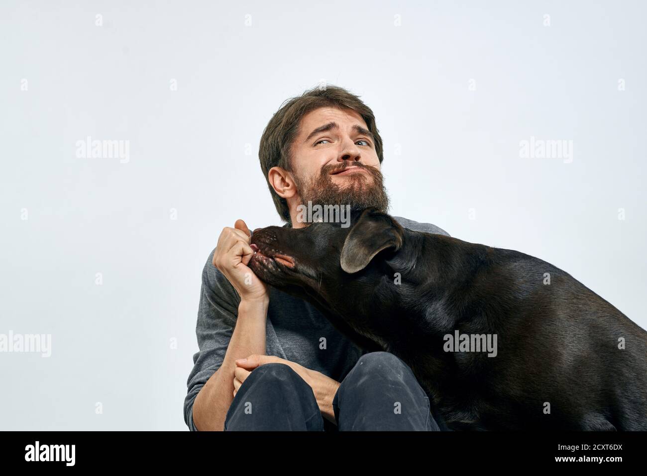 happy owner with pet black dog training model emotions Stock Photo - Alamy