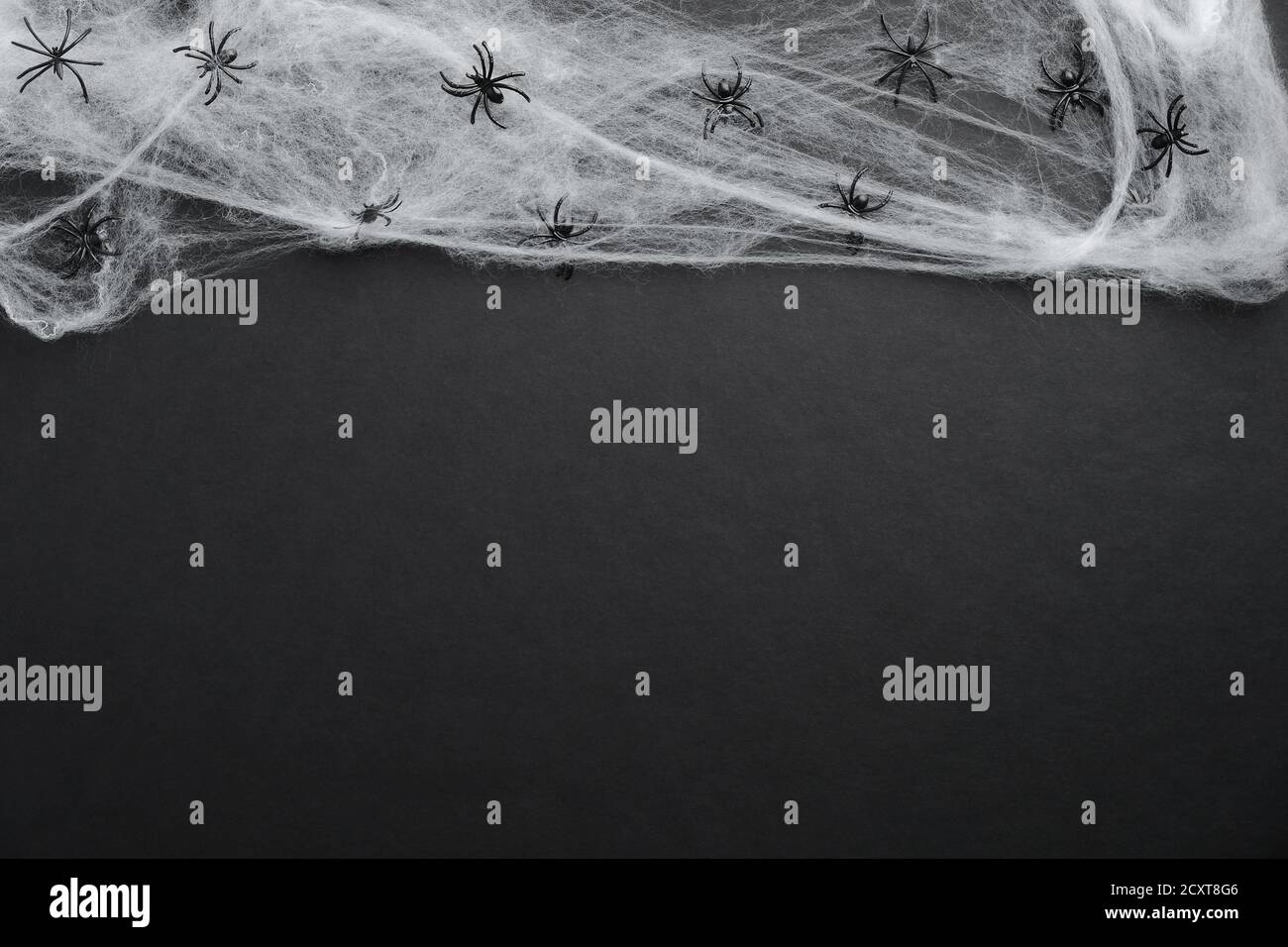 Creepy spider web and spiders on black background. Halloween background ...