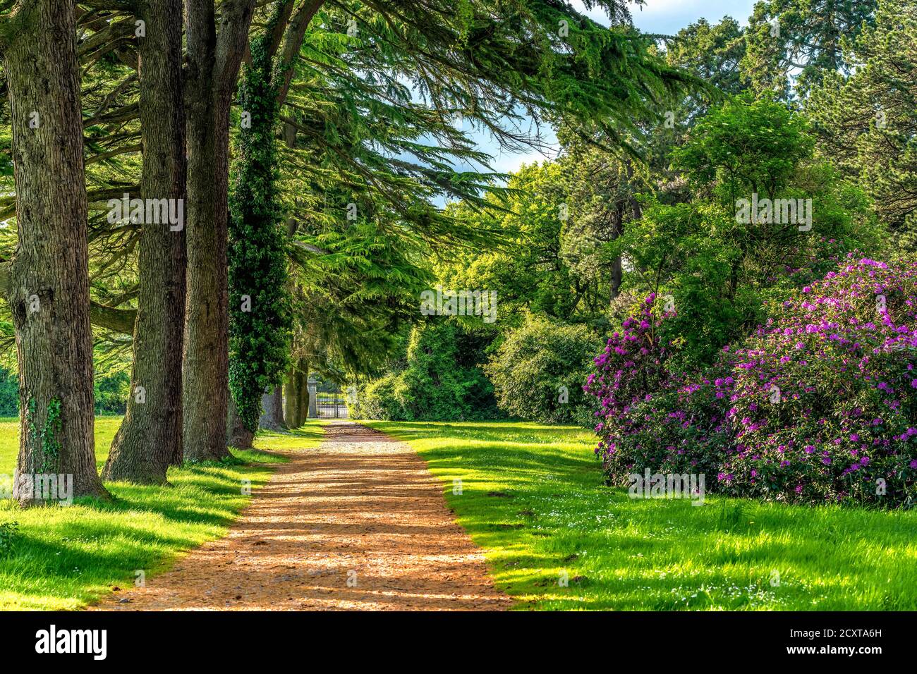 Tredegar house wales hi-res stock photography and images - Alamy