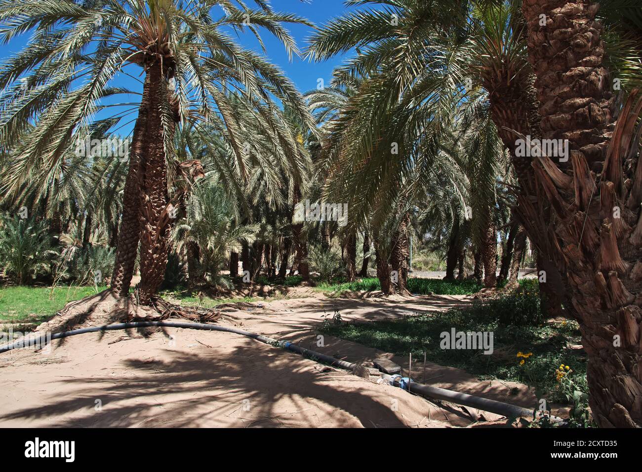 Province of najran hi-res stock photography and images - Alamy