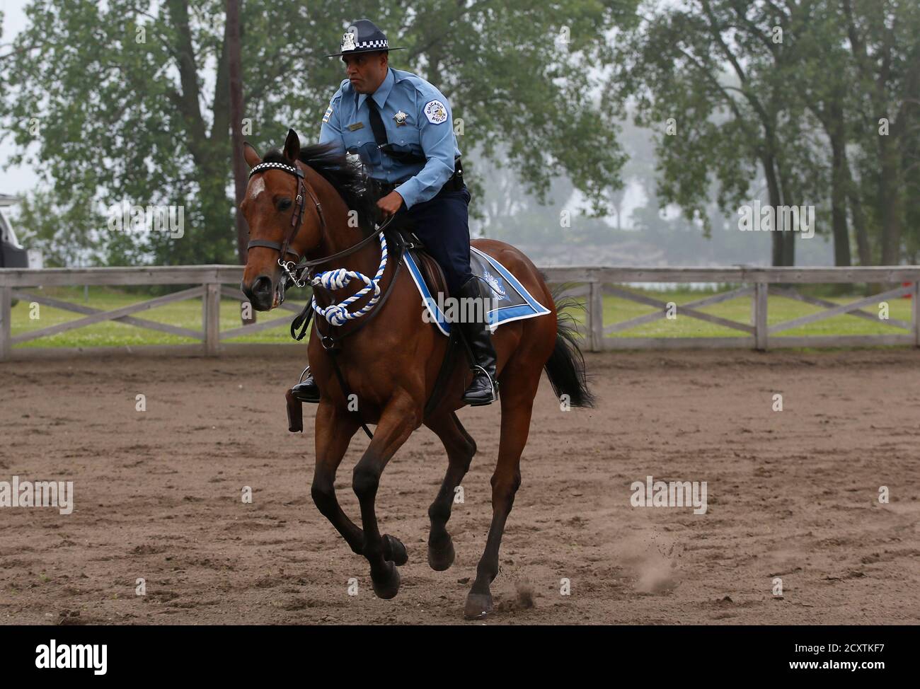 Chicago police horse hi-res stock photography and images - Alamy