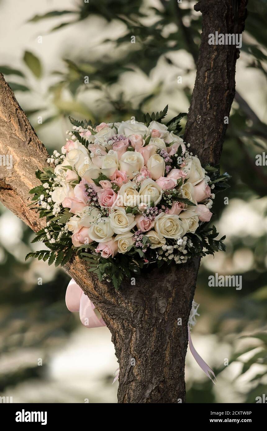 Flower bouquet tree branch bouquet hi-res stock photography and images ...