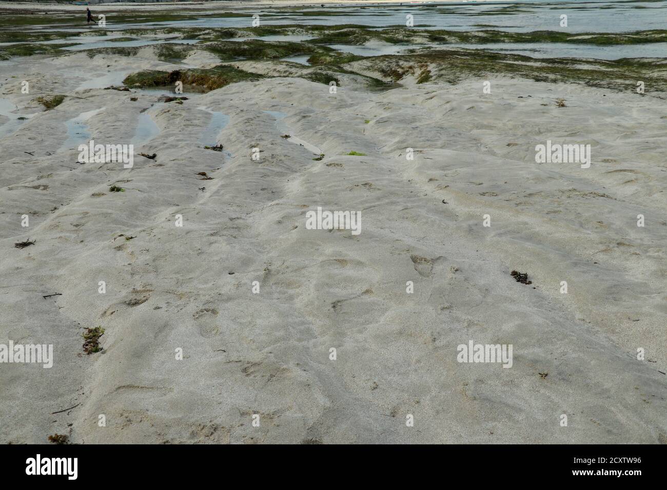 Patterns made by tide pools of water at low tide on Tanjung Aan beach ...