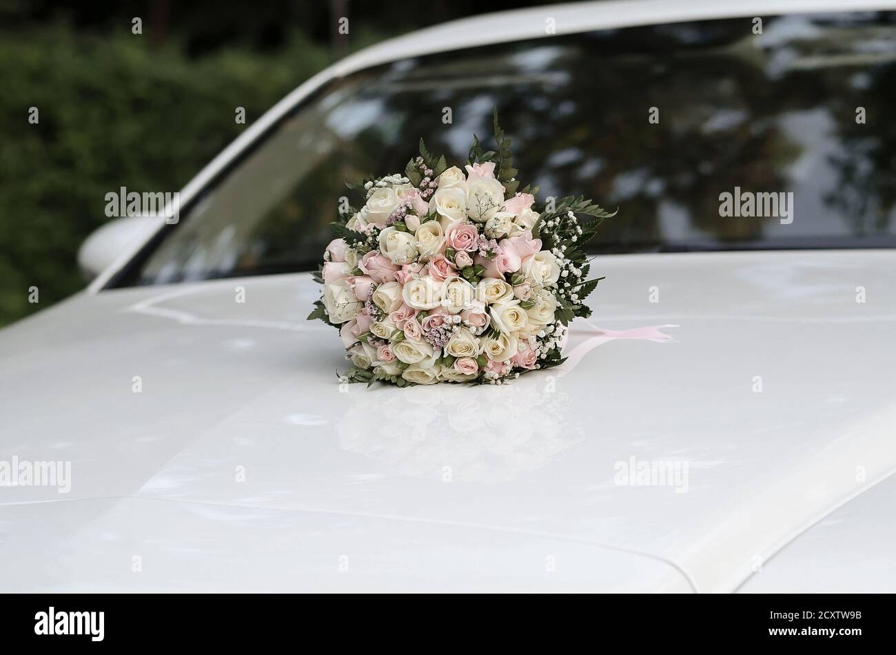Wedding bouquet of white and pink roses on the hood of a white car ...