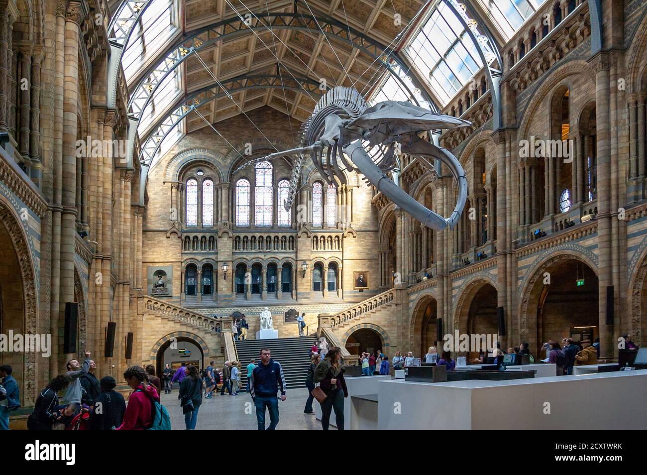 London, United Kingdom - September 15, 2017: Dinosaur skeleton hanging ...