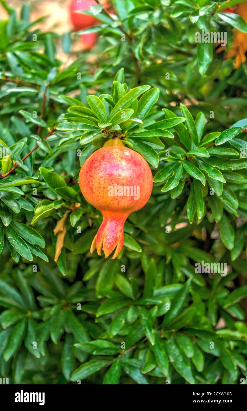 Granada landmarks, Spain Stock Photo - Alamy
