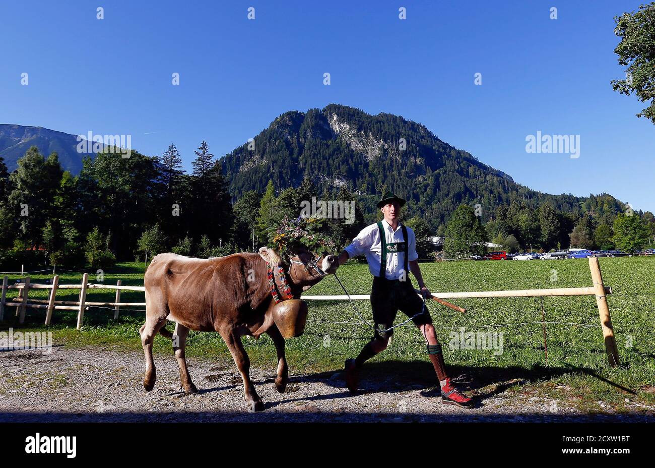 Almabtrieb festival hi-res stock photography and images - Alamy