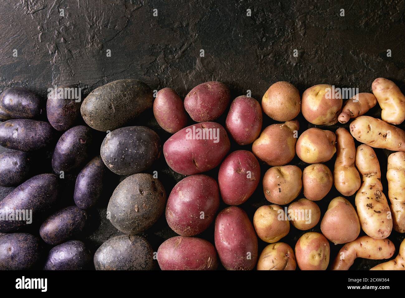 Variety of raw uncooked organic potatoes different kind and colors red ...