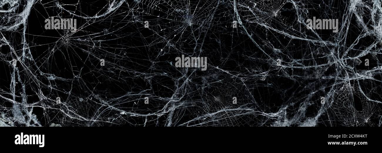 Spooky cobweb hi-res stock photography and images - Alamy