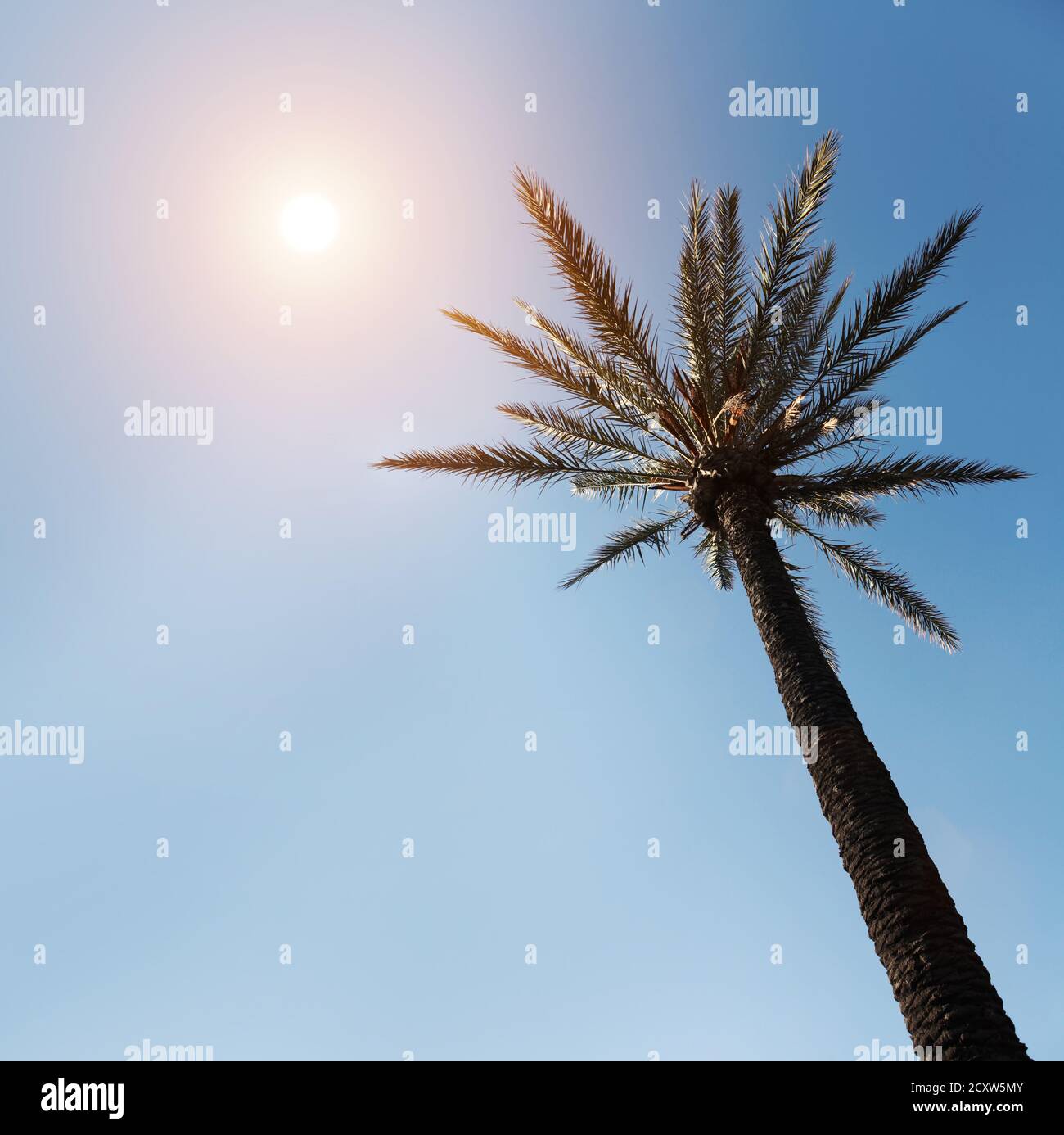 Maldives holiday advert hi-res stock photography and images - Alamy