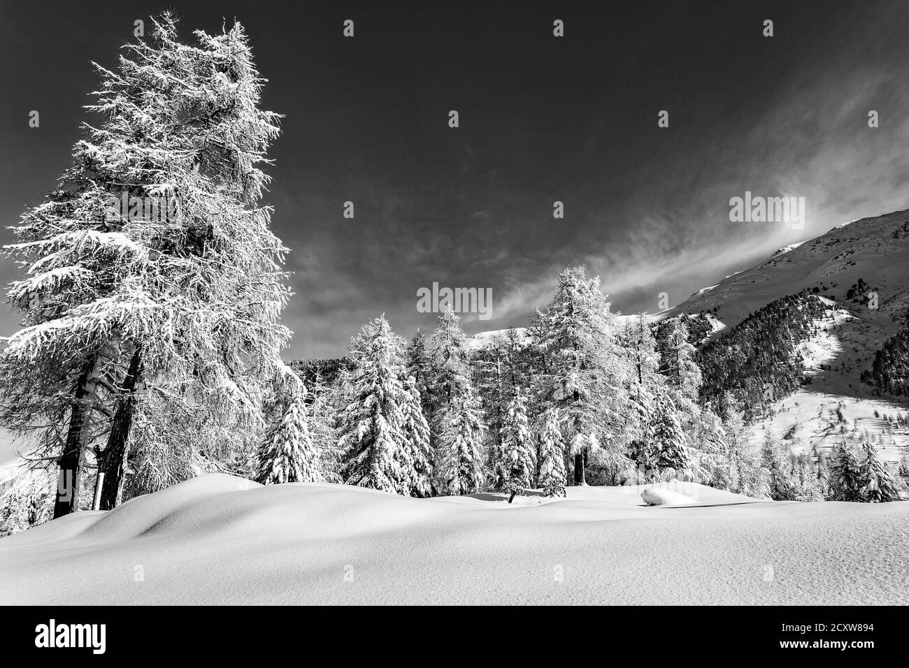 Alpine Landscape with fresh snow - B&W Stock Photo - Alamy