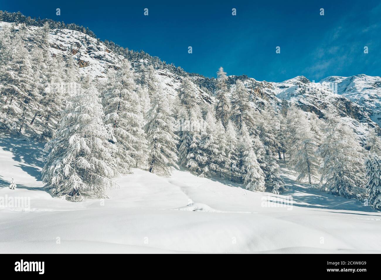 Switzerland christmas snow hi-res stock photography and images - Alamy