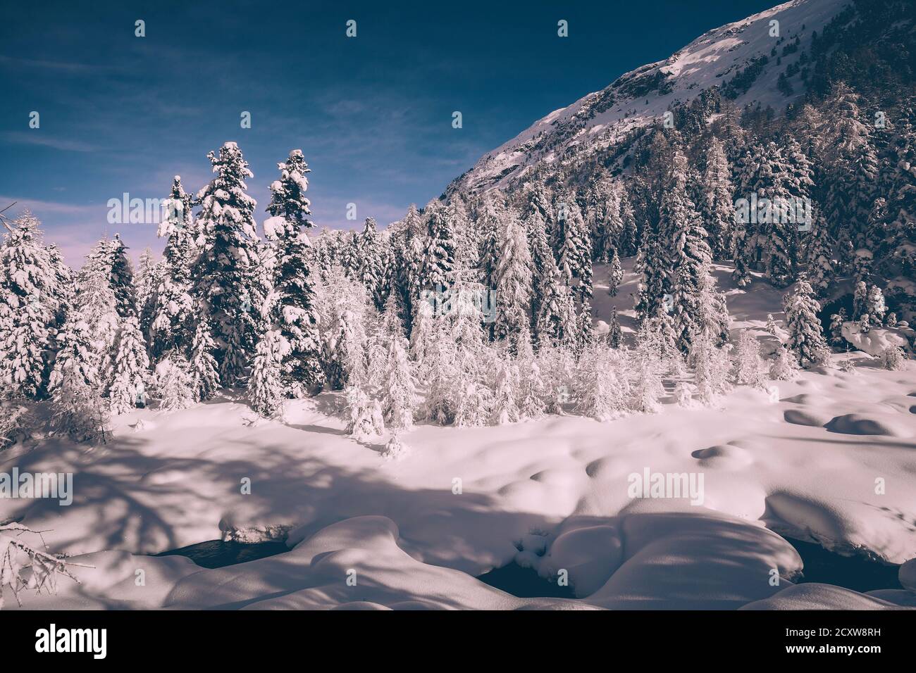 Switzerland christmas snow hi-res stock photography and images - Alamy