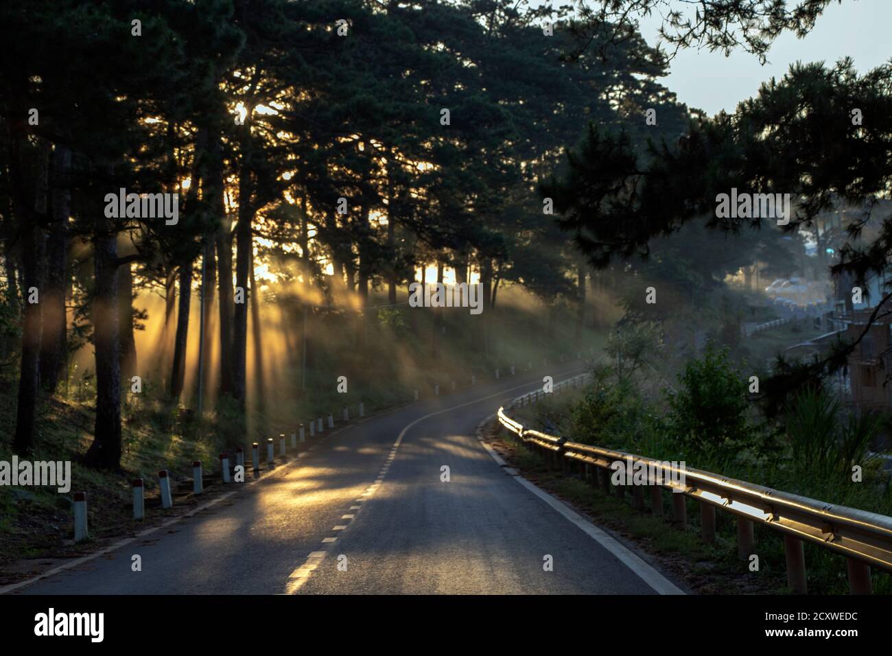 dew in the early sun Stock Photo - Alamy