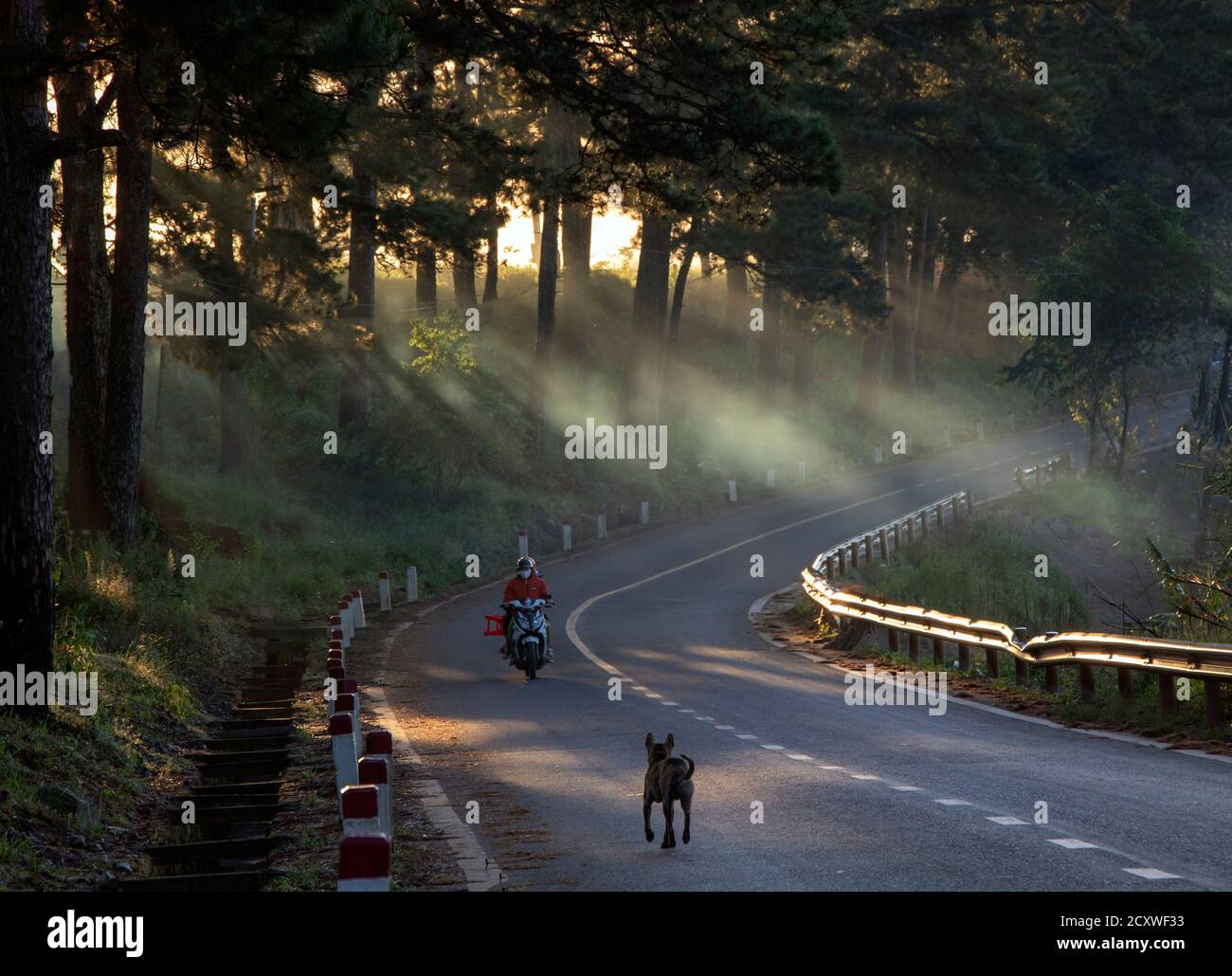 dew in the early sun Stock Photo - Alamy