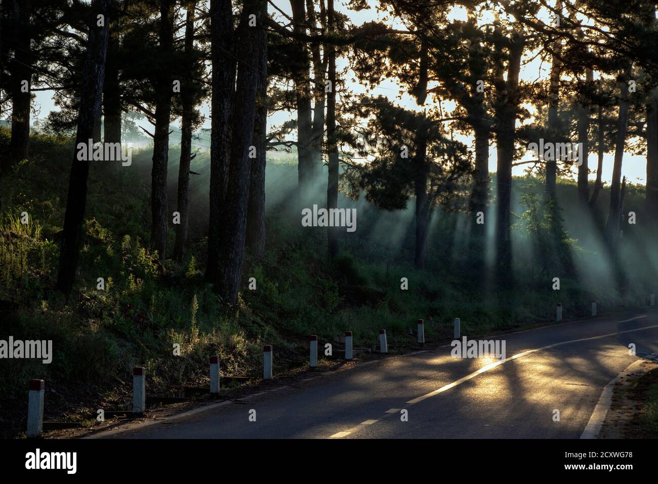 dew in the early sun Stock Photo - Alamy