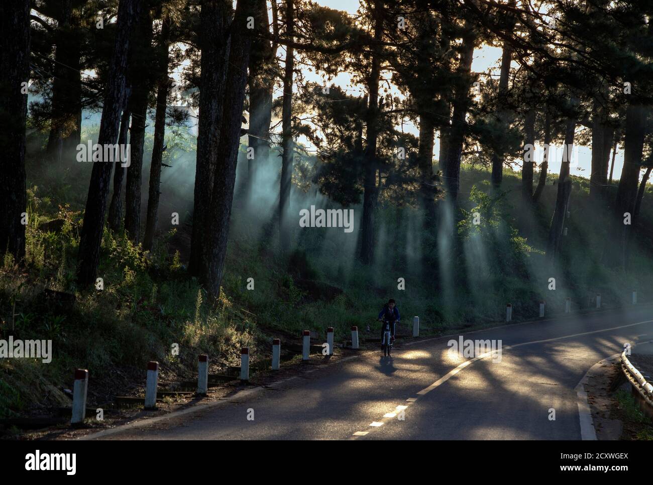 dew in the early sun Stock Photo - Alamy