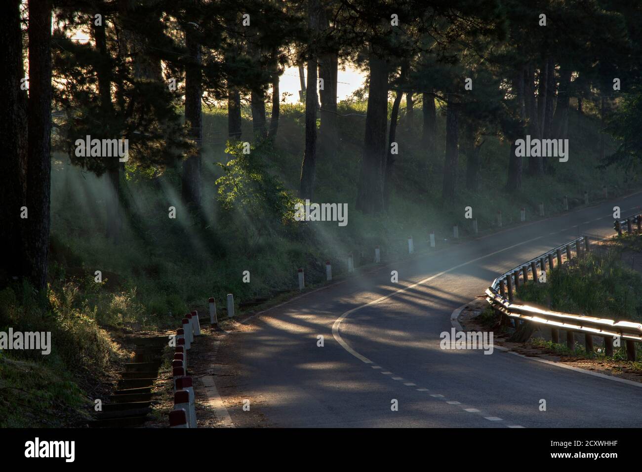dew in the early sun Stock Photo - Alamy