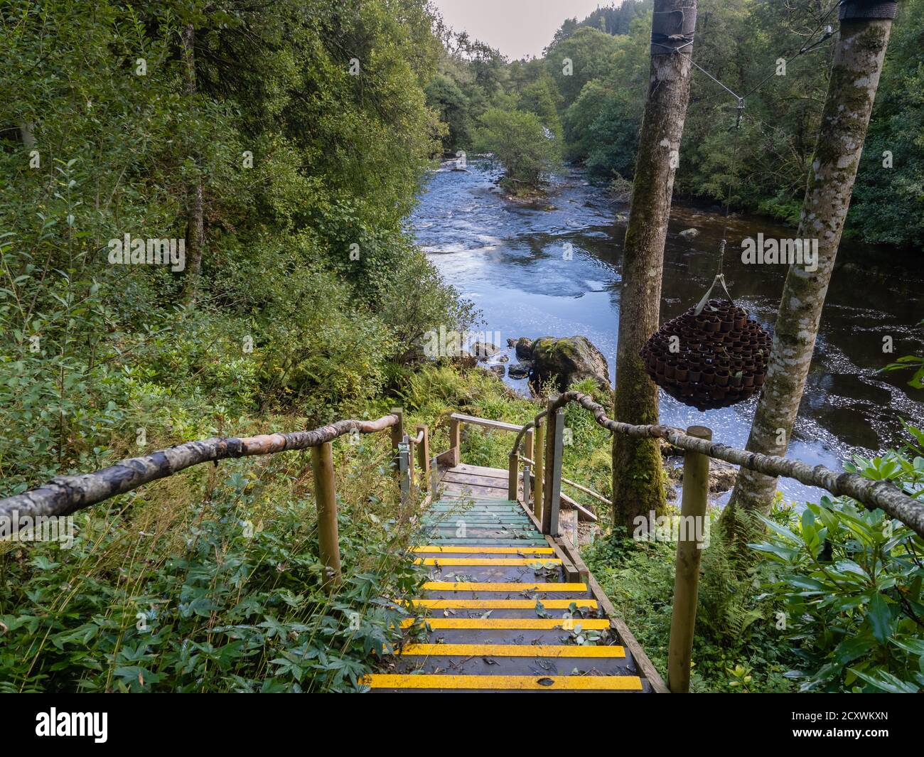 Like all art, and nature, The Corbenic Poetry Path is a never-ending ...