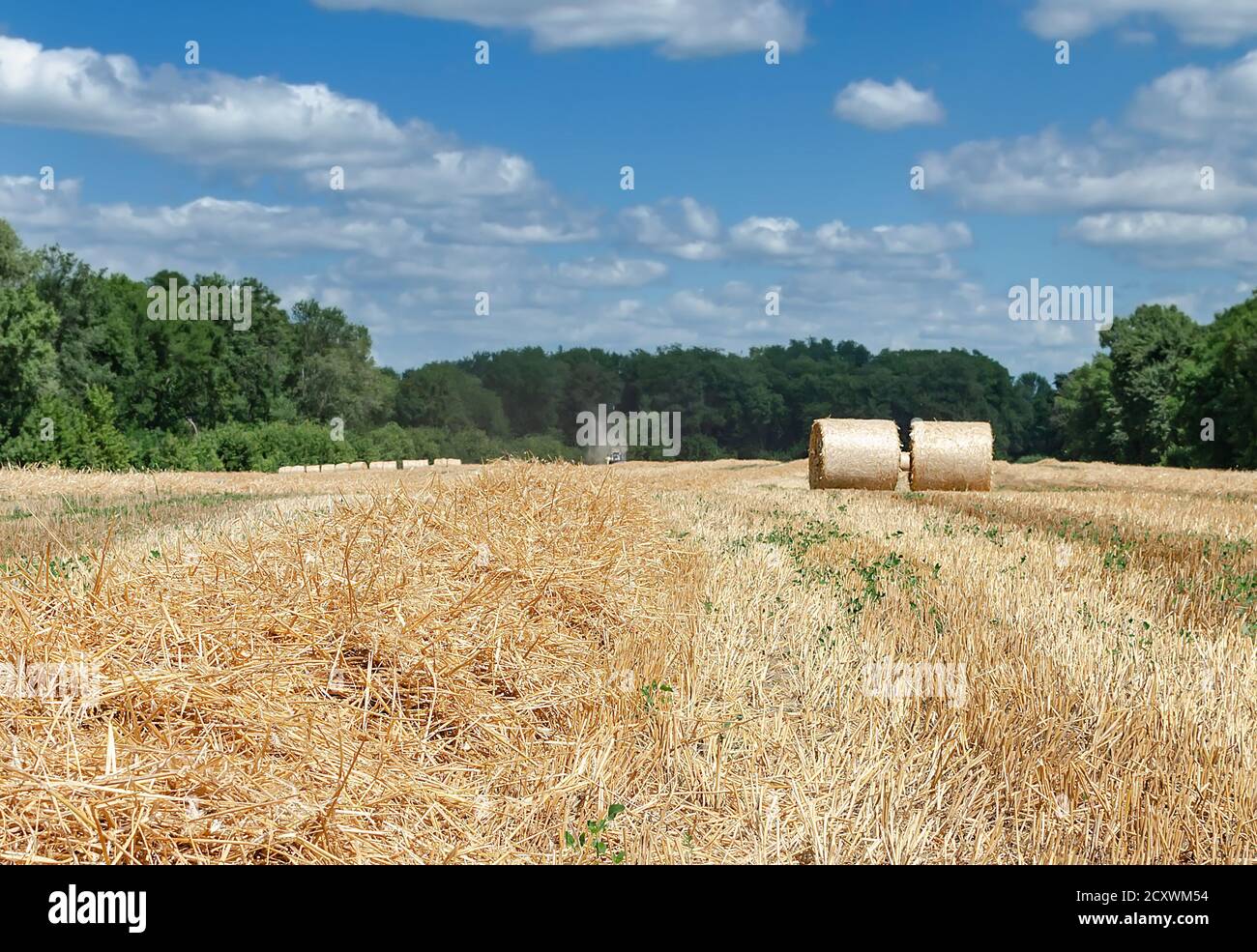 Farmer harvesting straw bales hi-res stock photography and images - Alamy