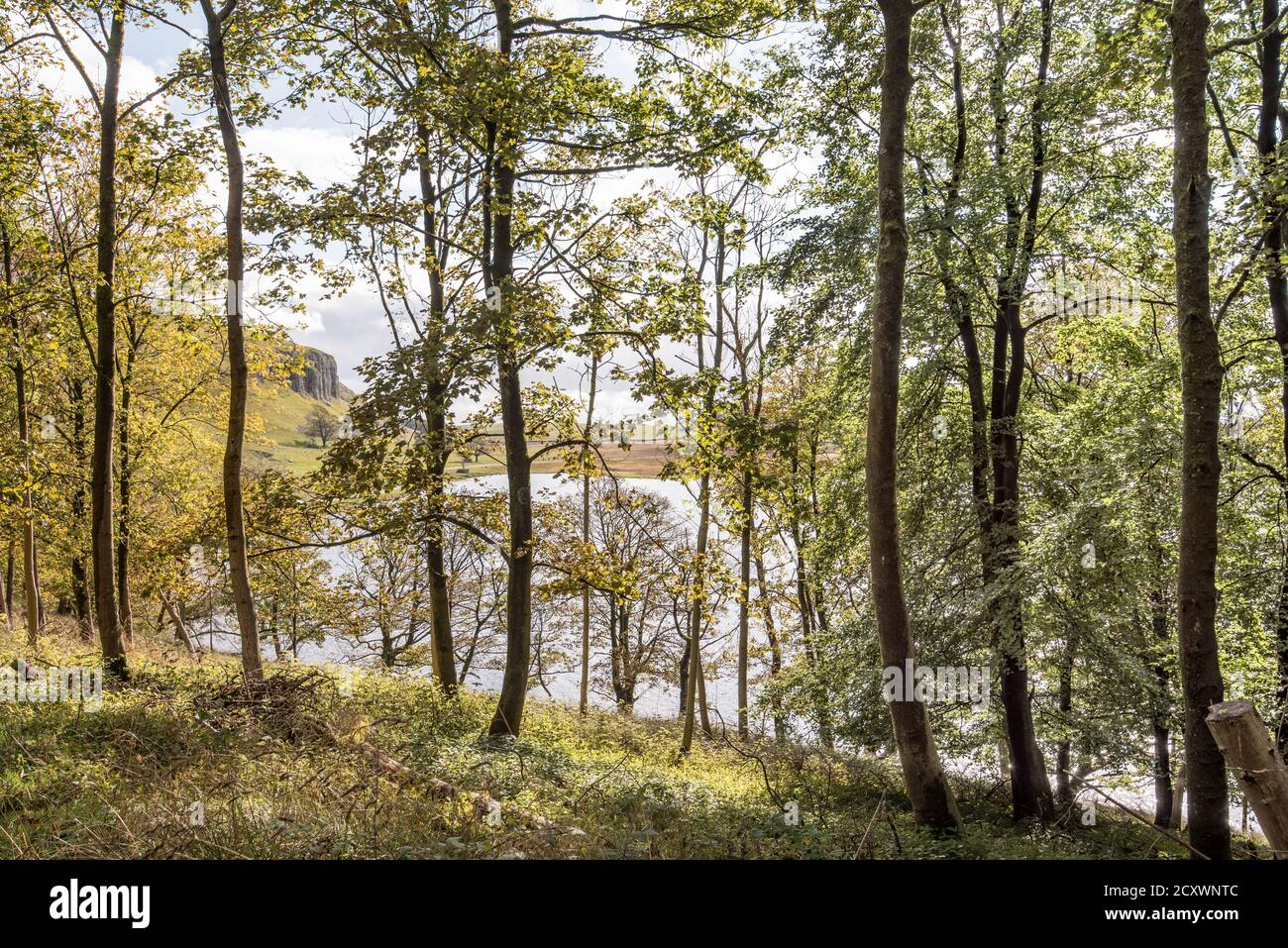 Circular walk at malham hi-res stock photography and images - Alamy