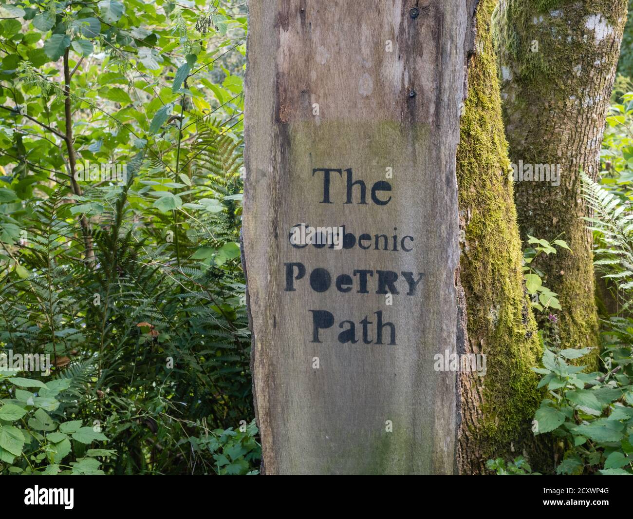 Like all art, and nature, The Corbenic Poetry Path is a never-ending ...