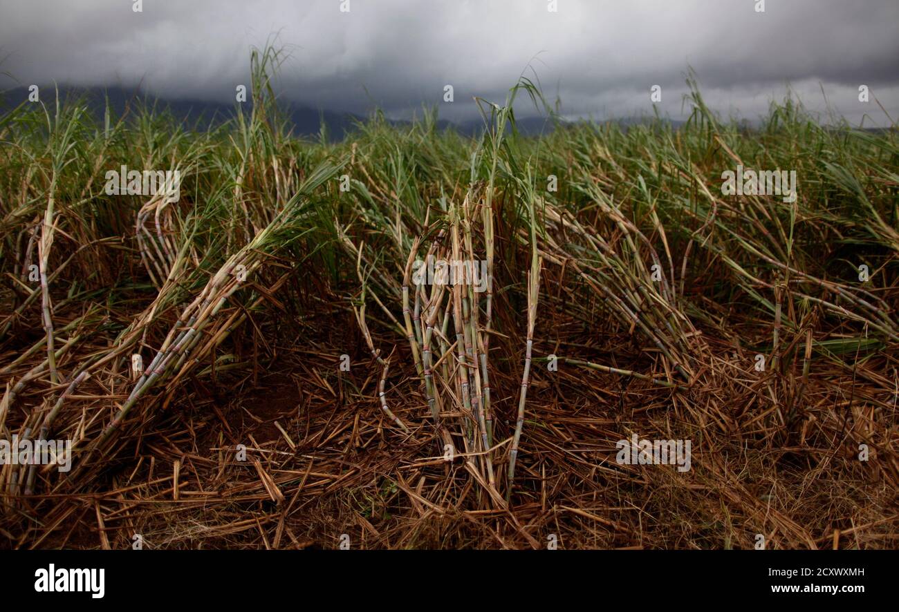 Australian agriculture science hi-res stock photography and images - Alamy