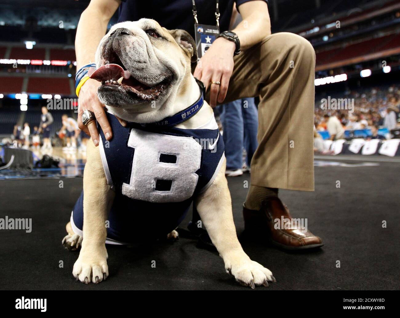 How Many College Basketball Teams Have A Bulldog Mascot