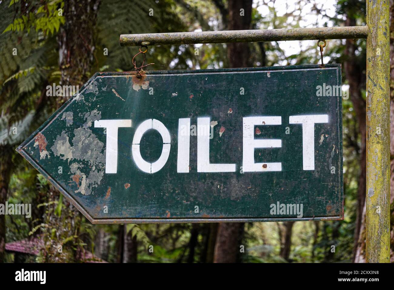 Sign toilet, stair and exit direction, blue text and red arrow on white ...