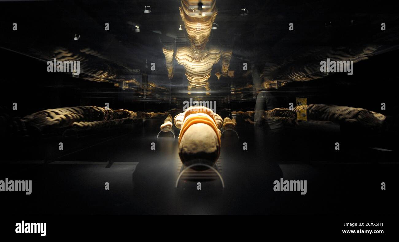 Whole Body Picture High Resolution Stock Photography and Images - Alamy