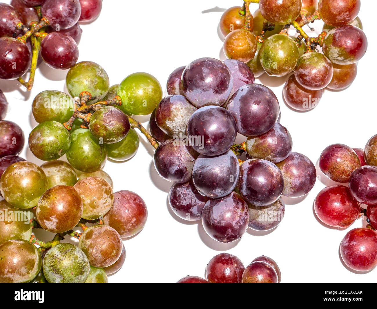 Harvest grapes berries on a white background Stock Photo - Alamy