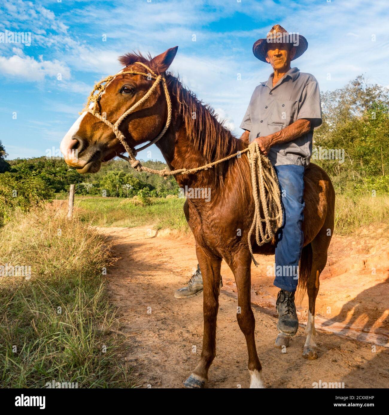 Cuban rider cowboy horse hi-res stock photography and images - Alamy