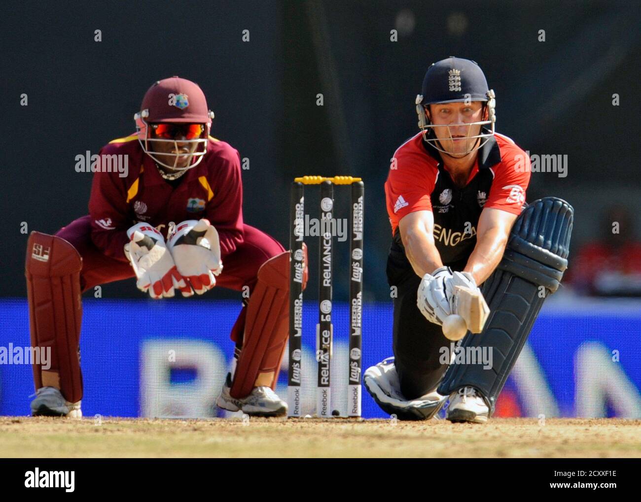 Devon thomas cricket hi-res stock photography and images - Alamy