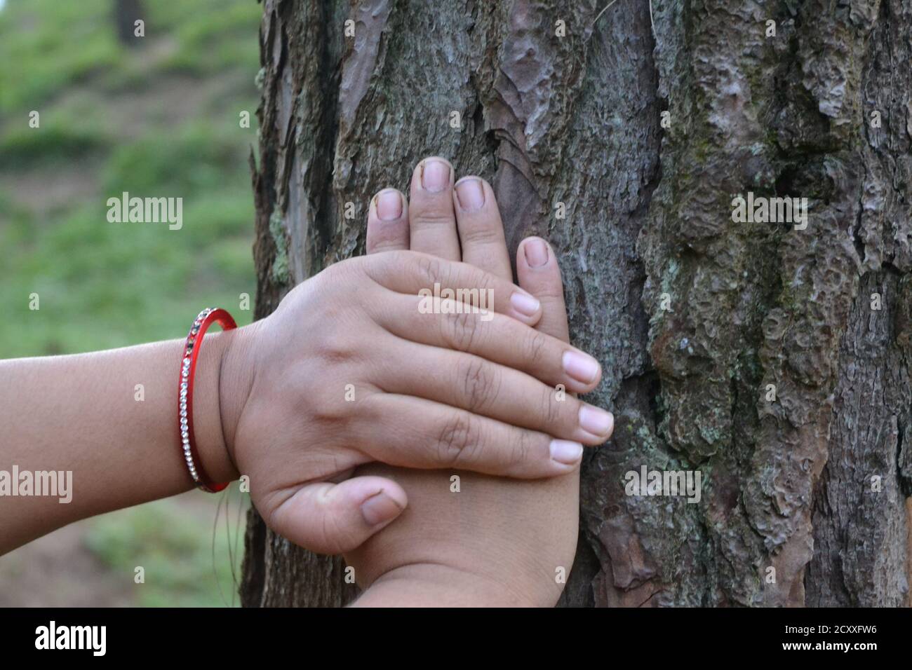 Different hand gestures. Human hands with different objects caring and ...