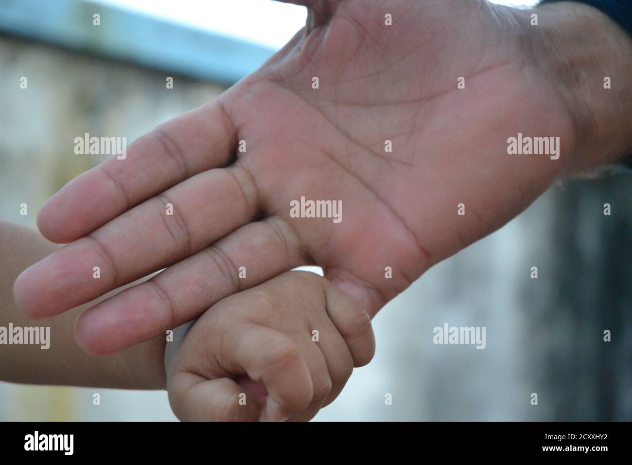 Different hand gestures. Human hands with different objects caring and ...