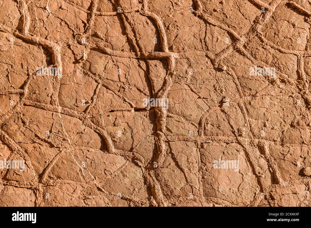 Dry mud texture background at brava lagoon reserve, la rioja province ...