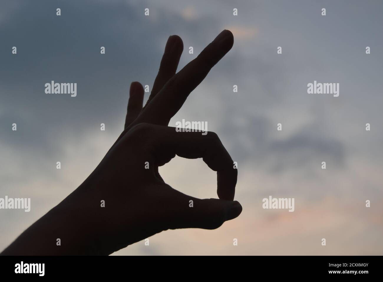Different hand gestures. Human hands with different objects caring and ...