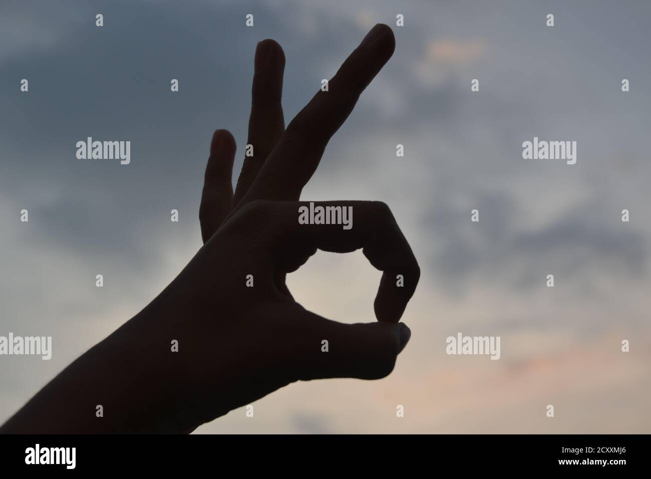 Different hand gestures. Human hands with different objects caring and ...